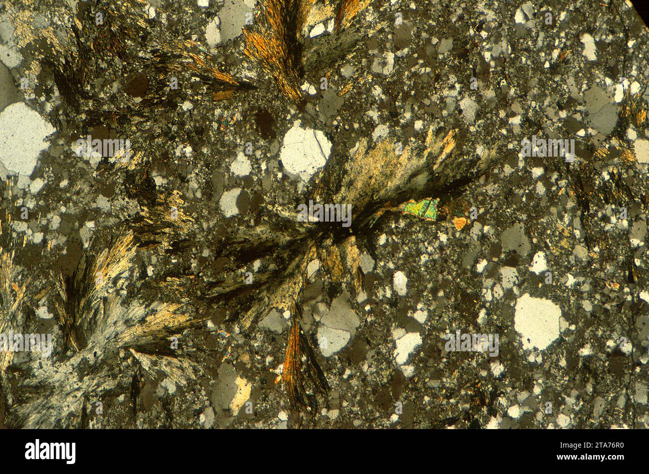 Greywacke hi-res stock photography and images - Alamy