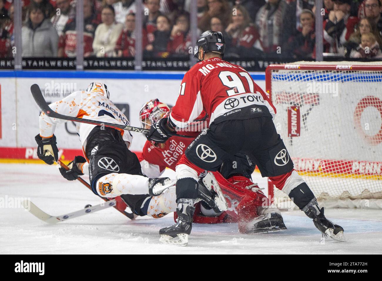 28.11.2023, Lanxess-Arena, Koeln, GER, DEL, Koelner Haie vs Grizzlys ...