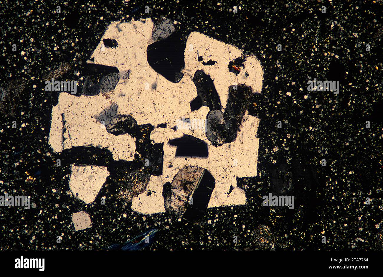 Granite porphyry. Porphyry is a texture of igneous rocks consisting in ...