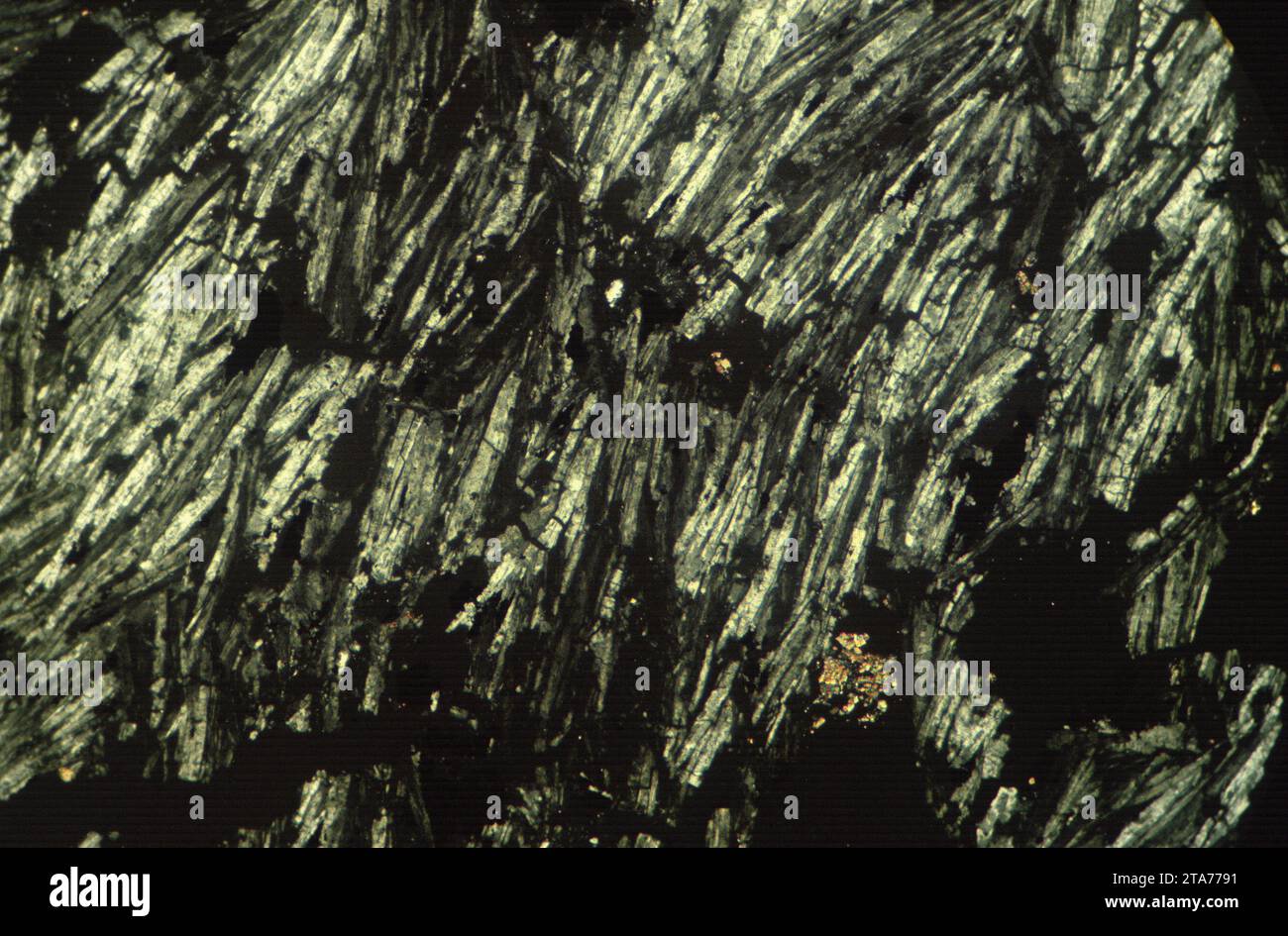 Trachyte is an igneous extrusive rock equivalent to plutonic syenite ...