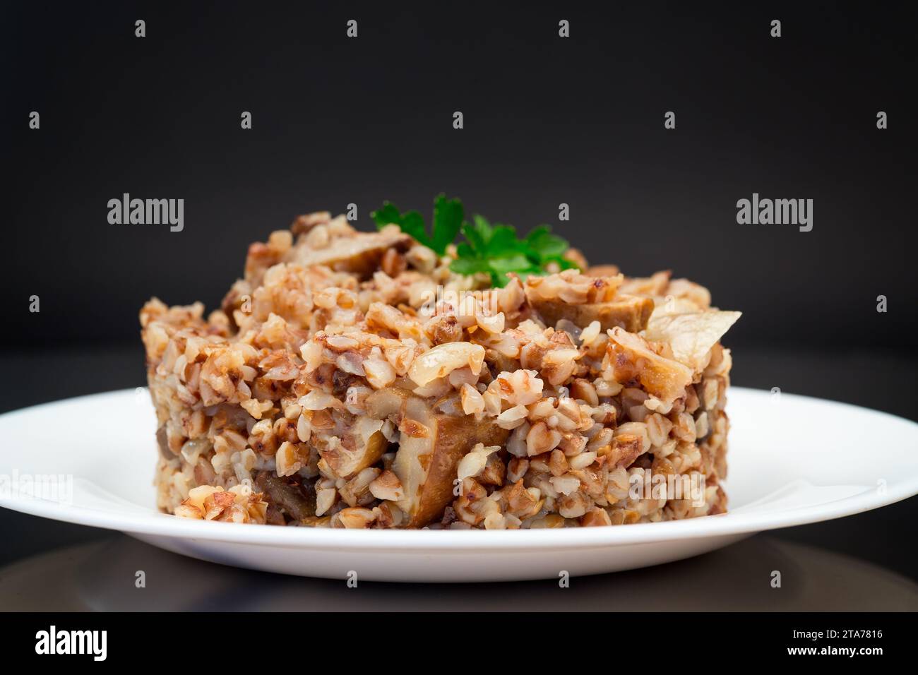 cooked buckwheat boiled with mushroom filling in a plate isolated on a ...