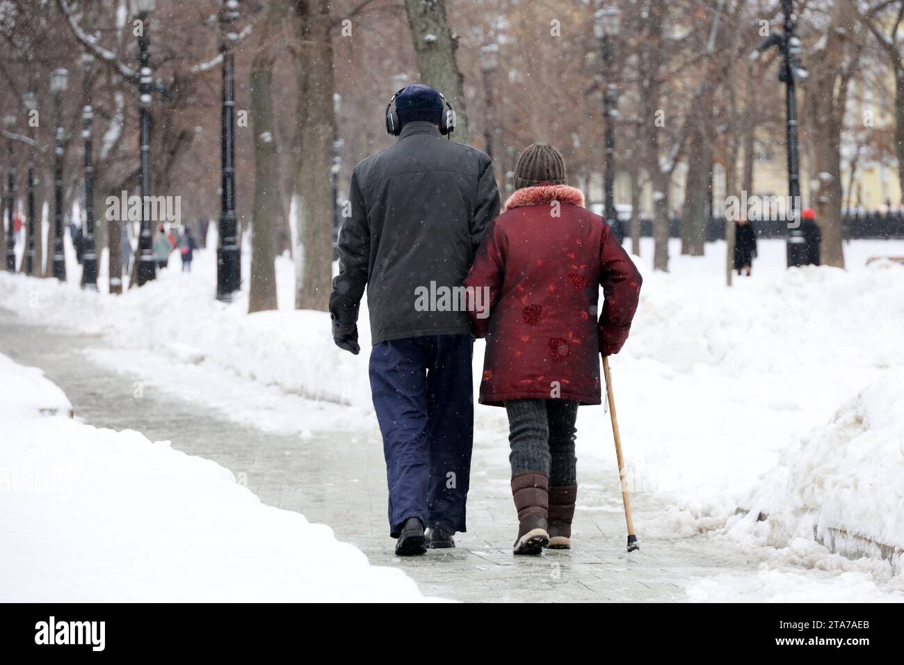 Elderly woman with cane and man walking in winter park, rear view. Old ...