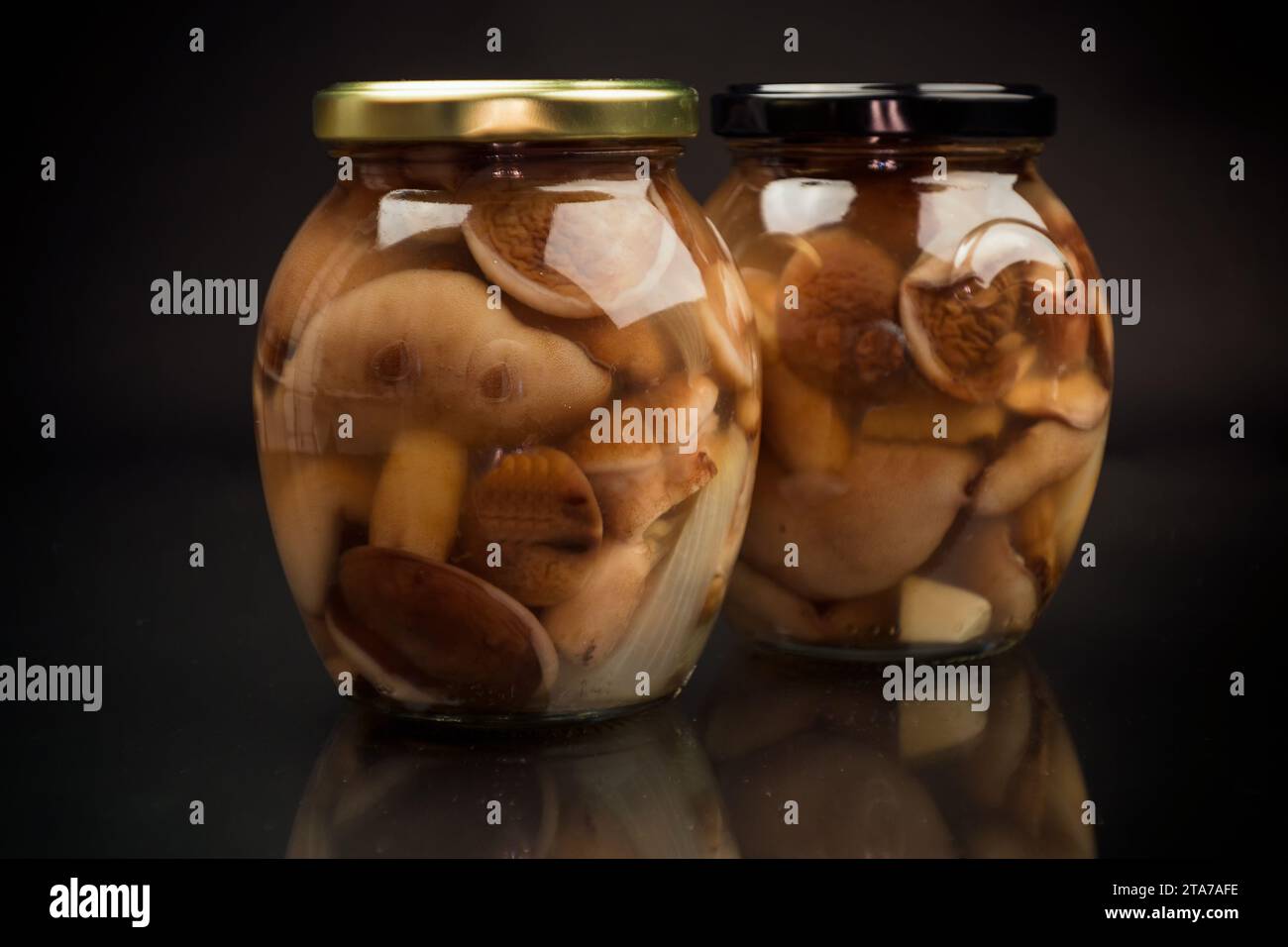 pickled wild boletus mushrooms in a glass jar, isolated on a black ...