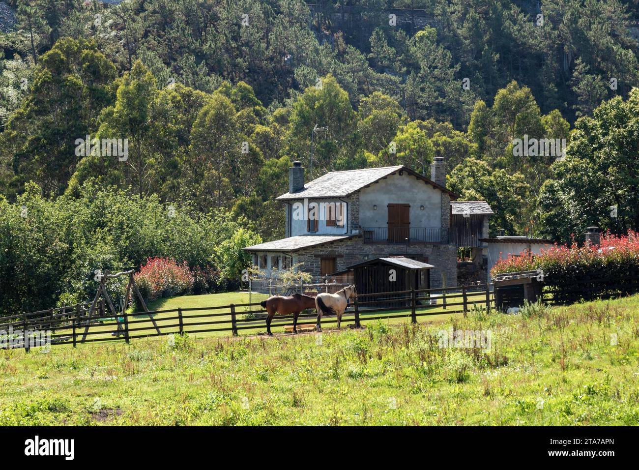countryside house with horses in the foreground, surrounded by trees ...