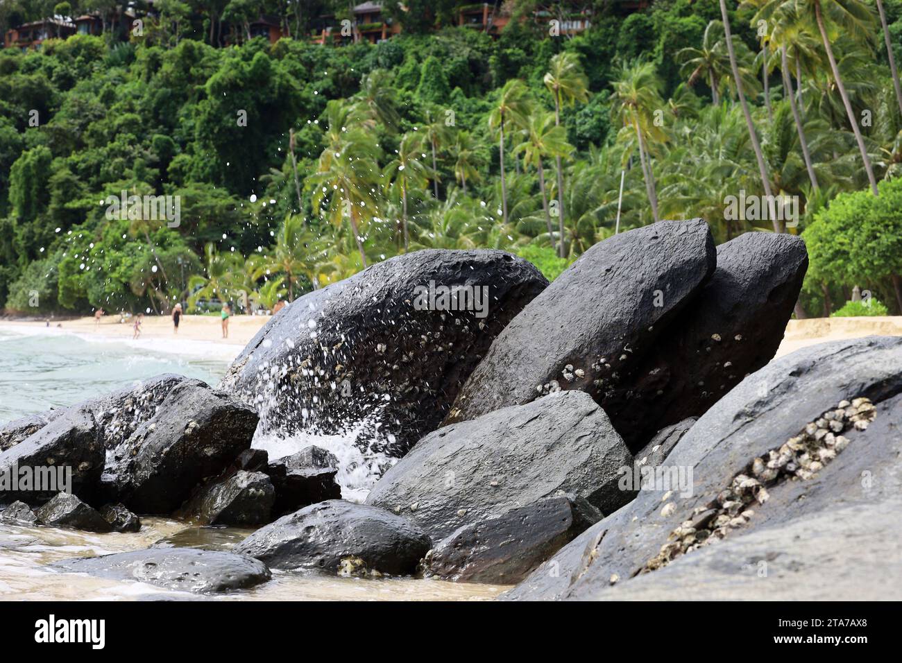 Stones on tropical beach, view to the sea resort with palm trees. Relax ...
