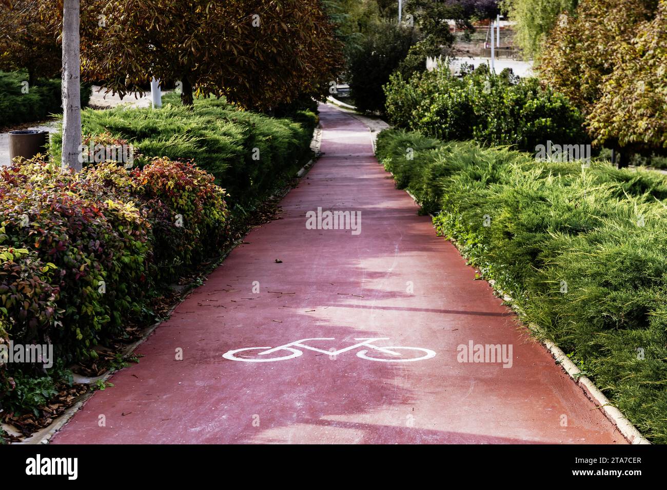 A bike path surrounded by hedges and trees in an urban park Stock Photo ...