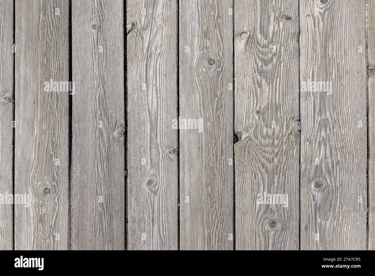 A grayish unvarnished wooden plank floor with grains of sand on the ...
