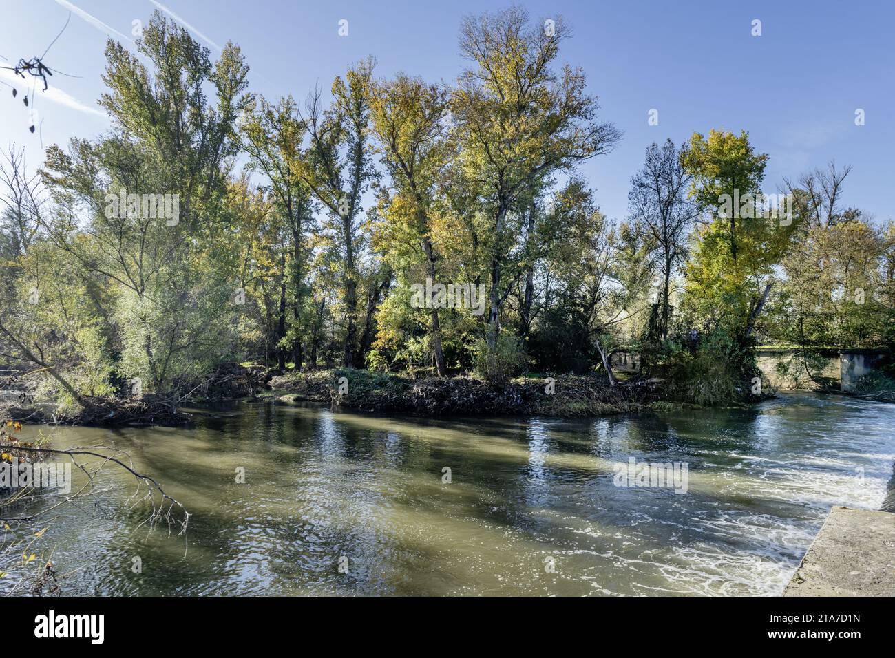 autumn landscape of Jarama on the outskirts of Madrid on a small river ...