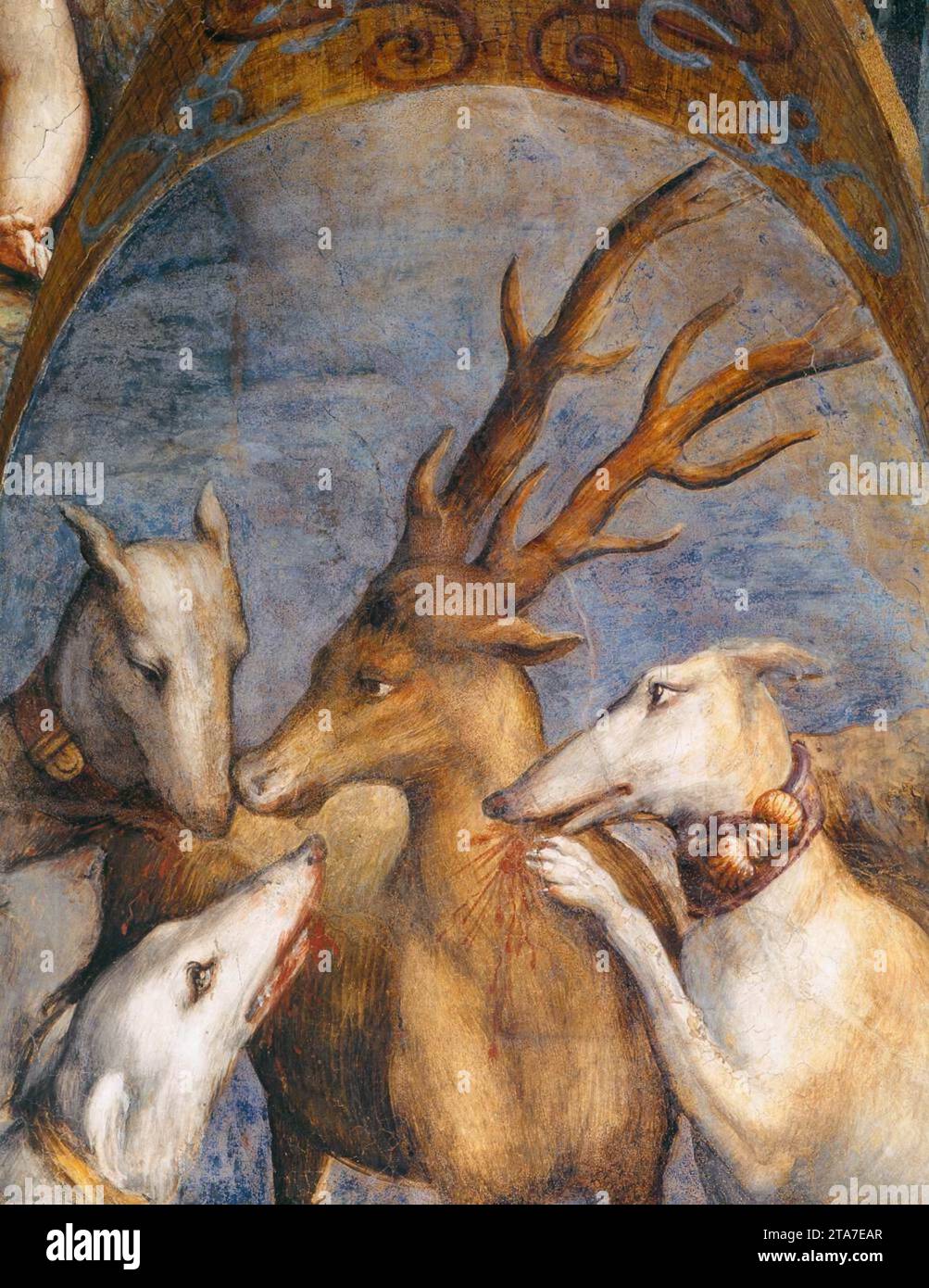 Diana and Actaeon 1523-24 by Parmigianino Stock Photo - Alamy