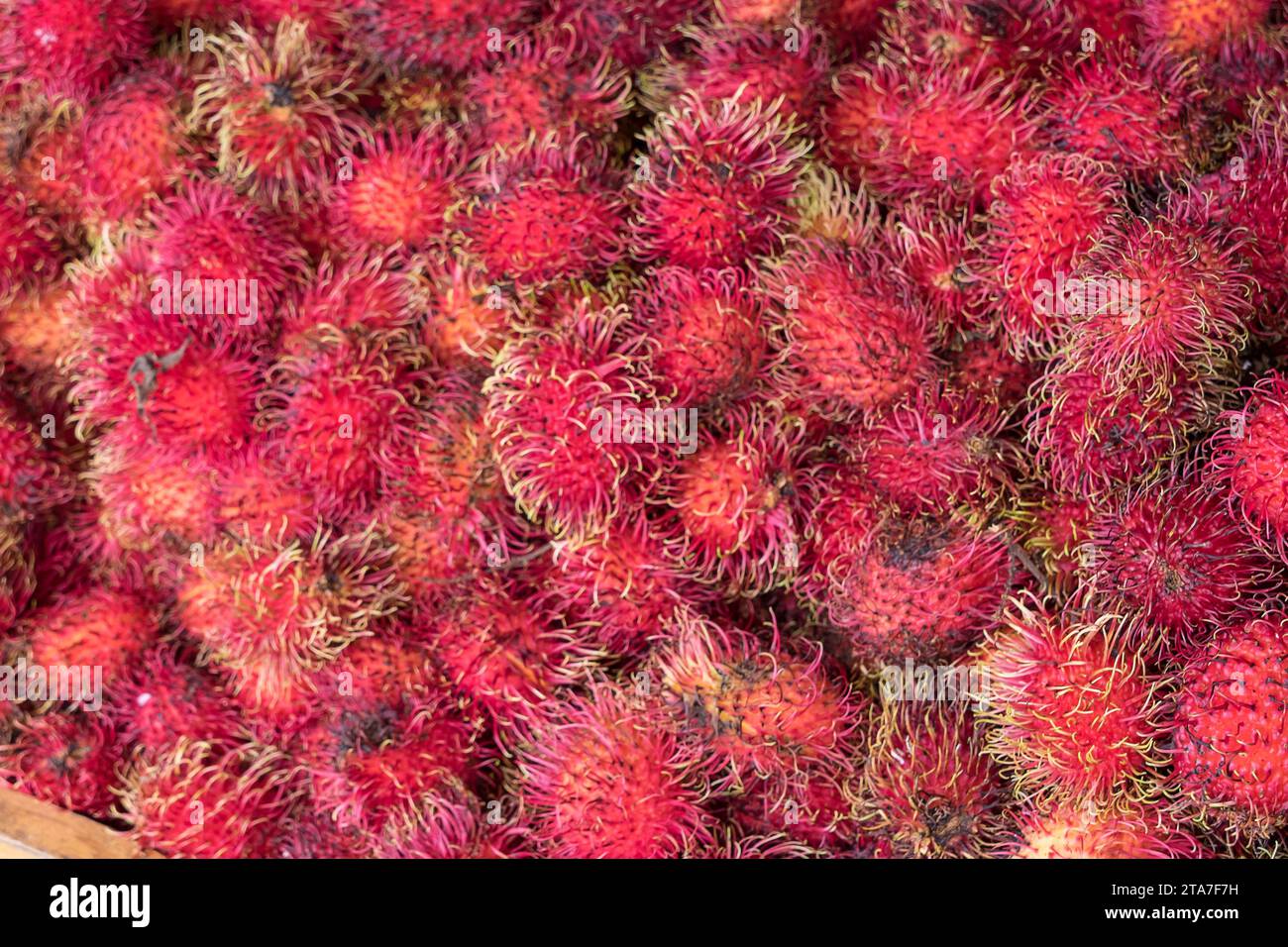 Lychees at a Costa Rican market stall Stock Photo - Alamy
