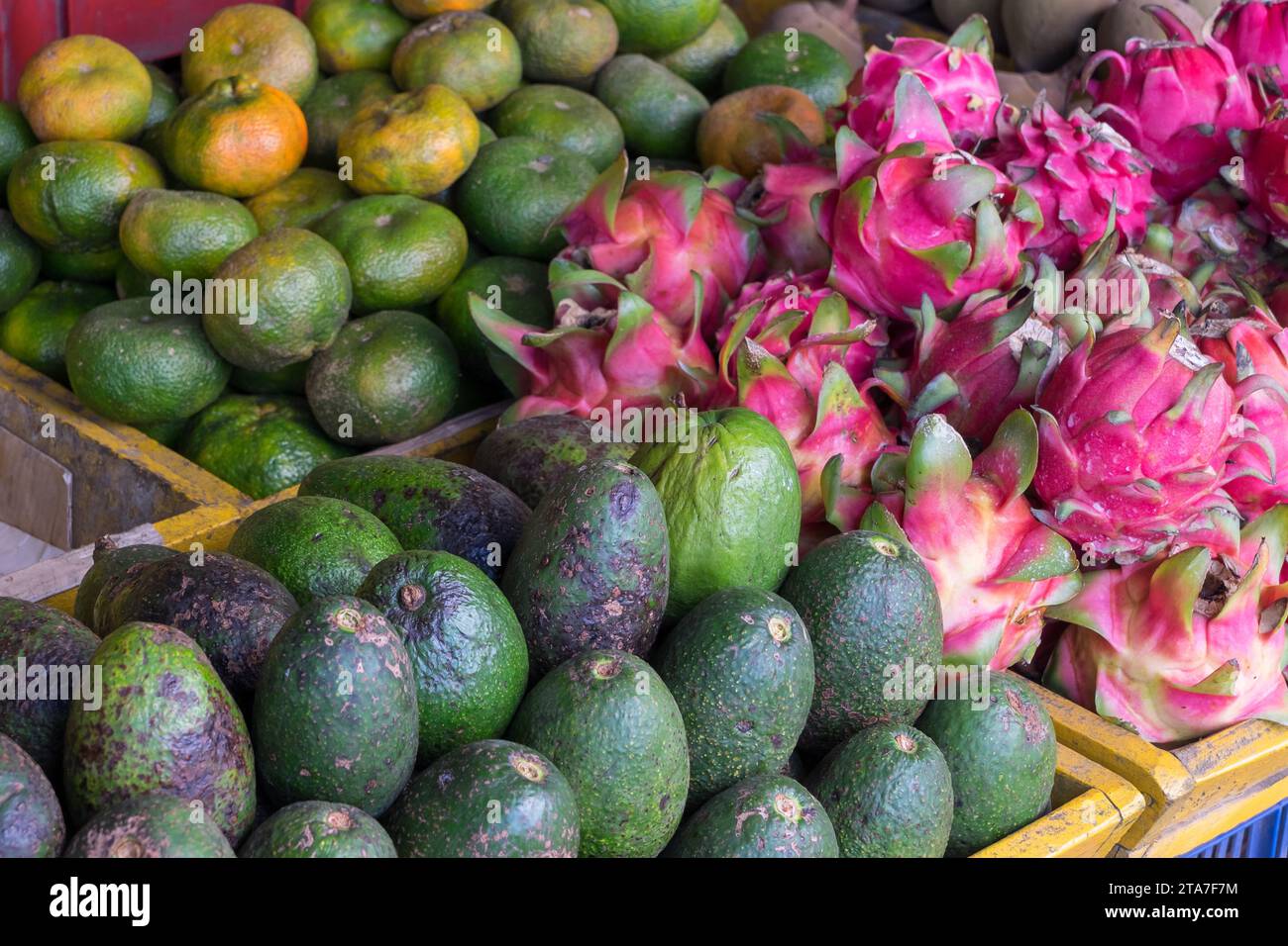 Tropical fruits, avocados and dragon fruit at a Costa Rican market ...