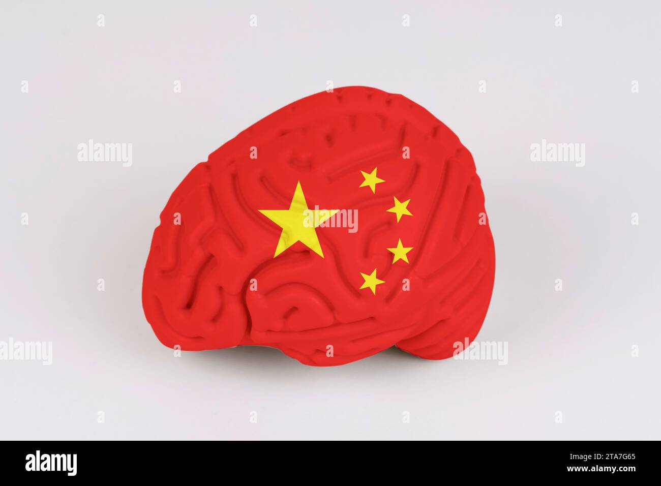 On a white background, a model of the brain with a picture of a flag ...