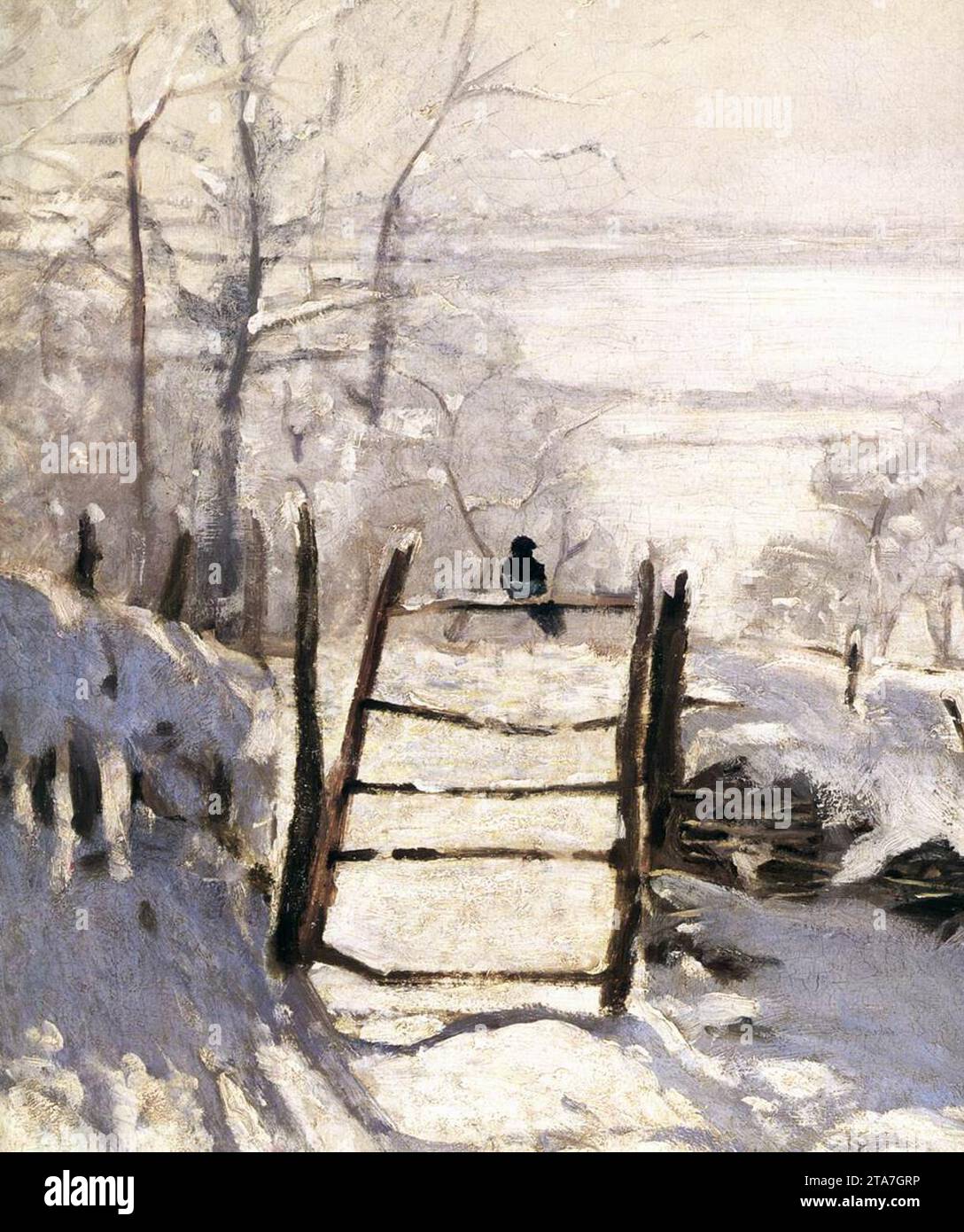 The magpie detail hi-res stock photography and images - Alamy