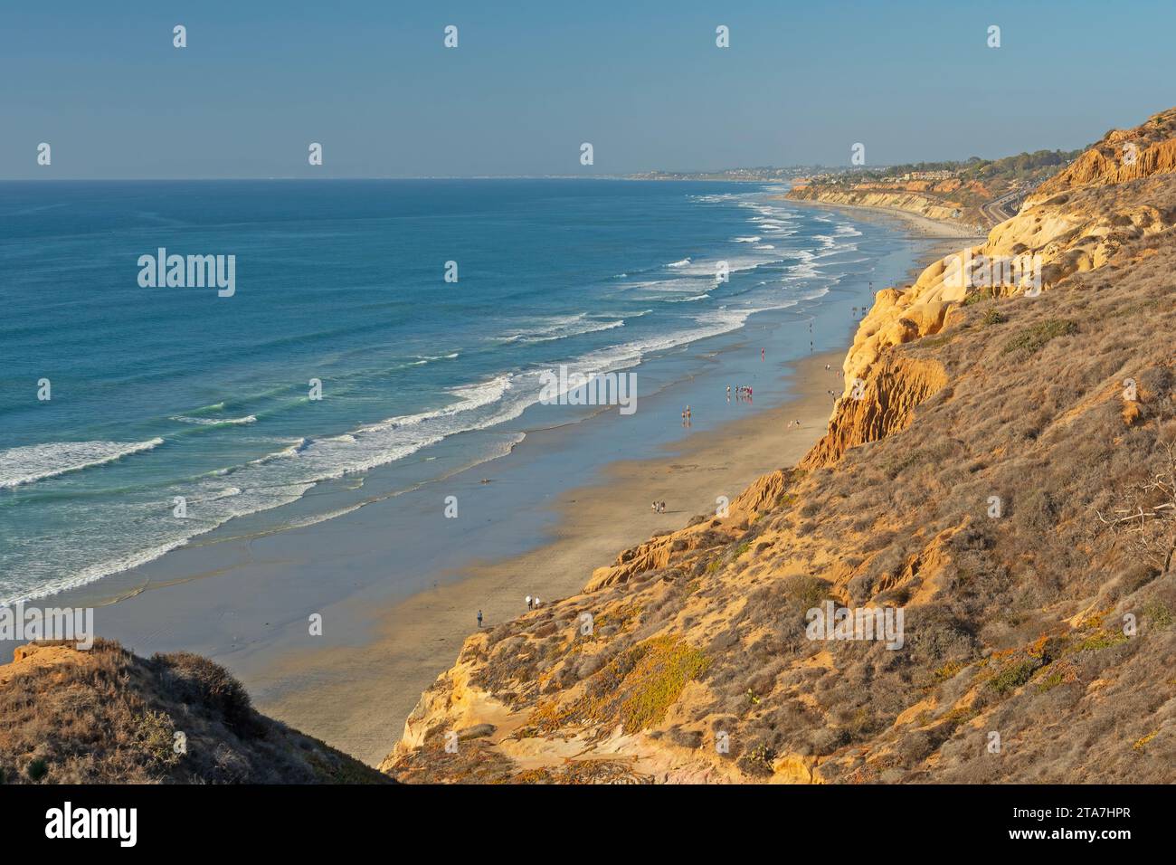 Torrey pines state beach hi-res stock photography and images - Alamy