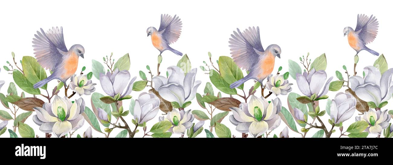 White magnolias on an isolated background. Watercolor seamless border ...