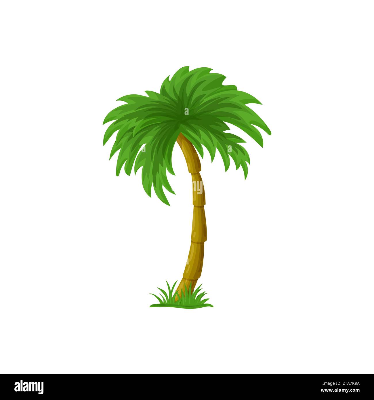 Palm tree cartoon isolated on white. Coco palm tree. Single palm ...