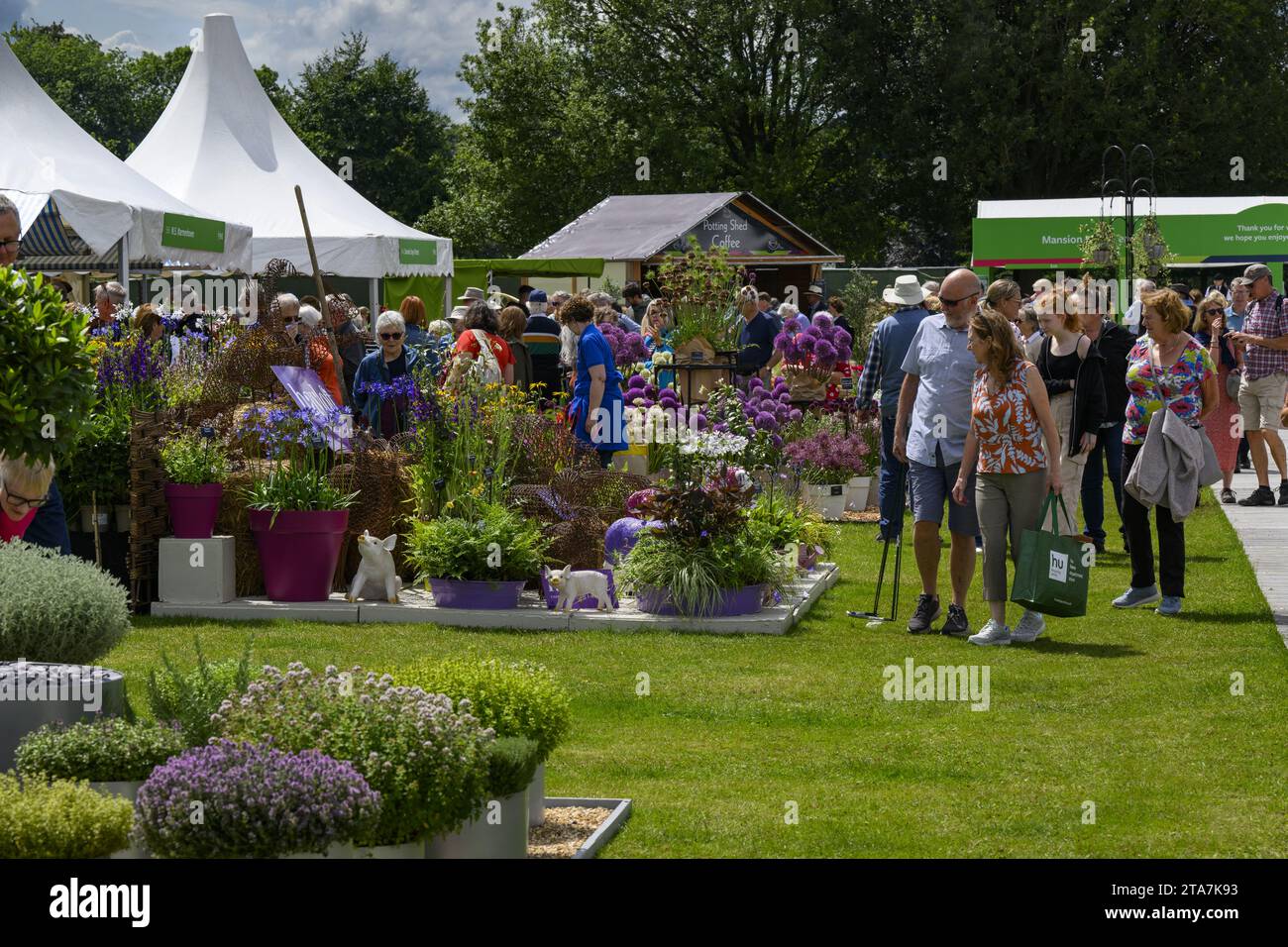 Busy trade stands (visitors view showground exhibitors' displays, selling shrubs & herbs) - RHS ...