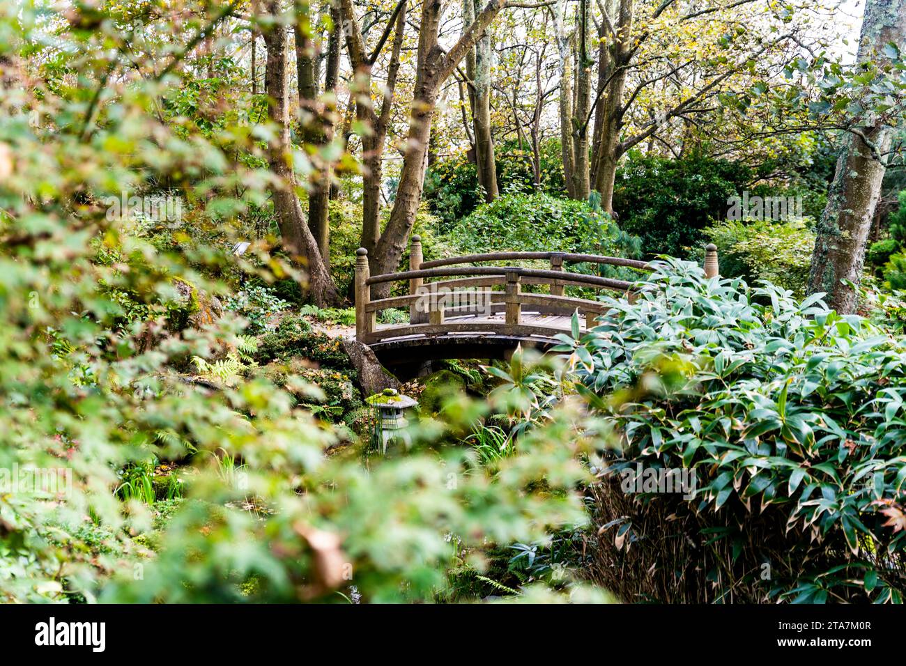 Lafcadio Hearn Japanese Gardens, stunning gardens that reflects the ...