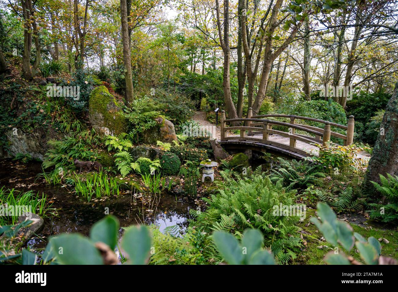 Lafcadio Hearn Japanese Gardens, stunning gardens that reflects the ...