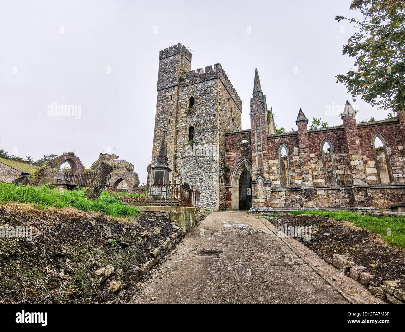 View of the South Wall of Selskar Abbey, a ruined Augustinian abbey ...