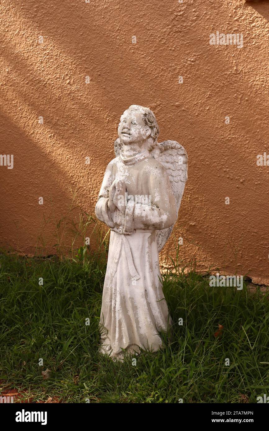 Angel Statue Prays Looking Up to Heaven Stock Photo - Alamy