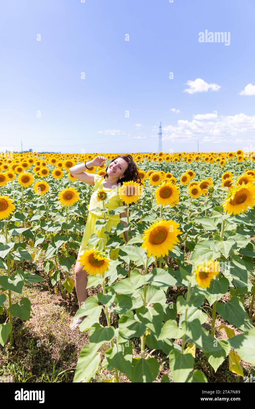 Beautiful woman in a field of yellow sunflowers before harvesting Stock Photo - Alamy