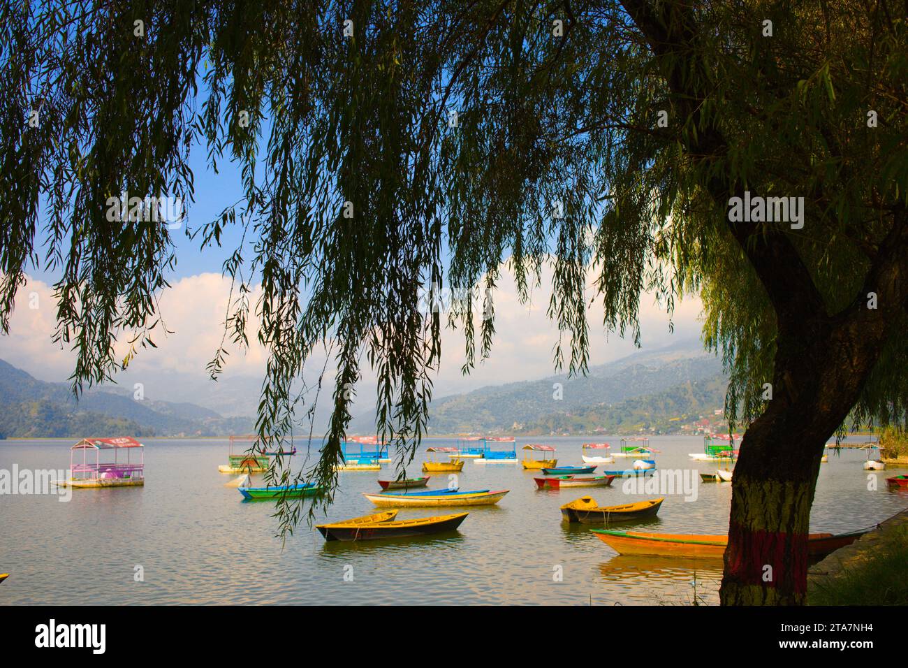 Nepal, Pokhara, Phewa Tal, Phewa Lake, boats Stock Photo - Alamy
