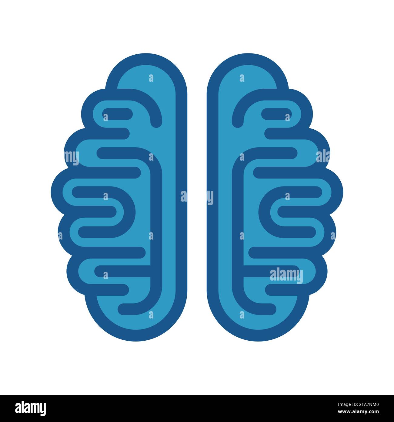 Brain icon isolated on white background. Vector illustration Stock ...