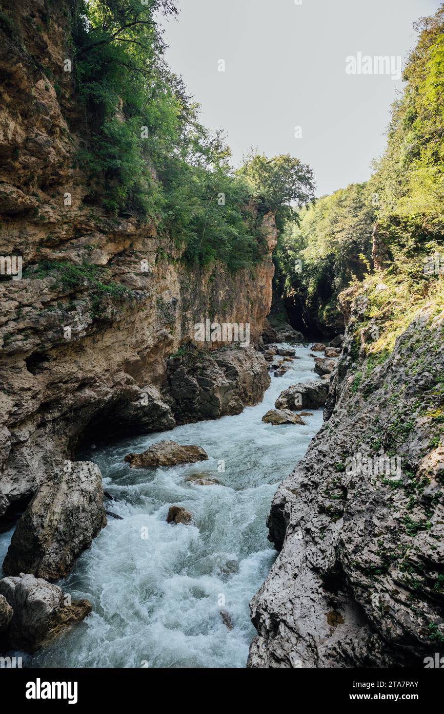 Beautiful landscape of mountain river and green forest Stock Photo - Alamy