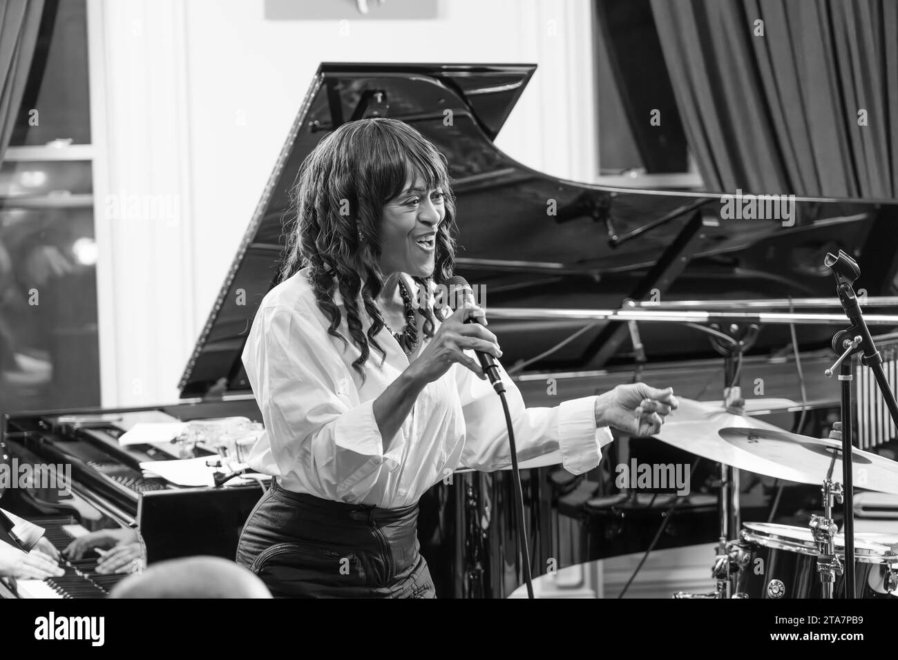 Sonya Hensley performs at Artist Mark Kostabi's birthday party at his ...