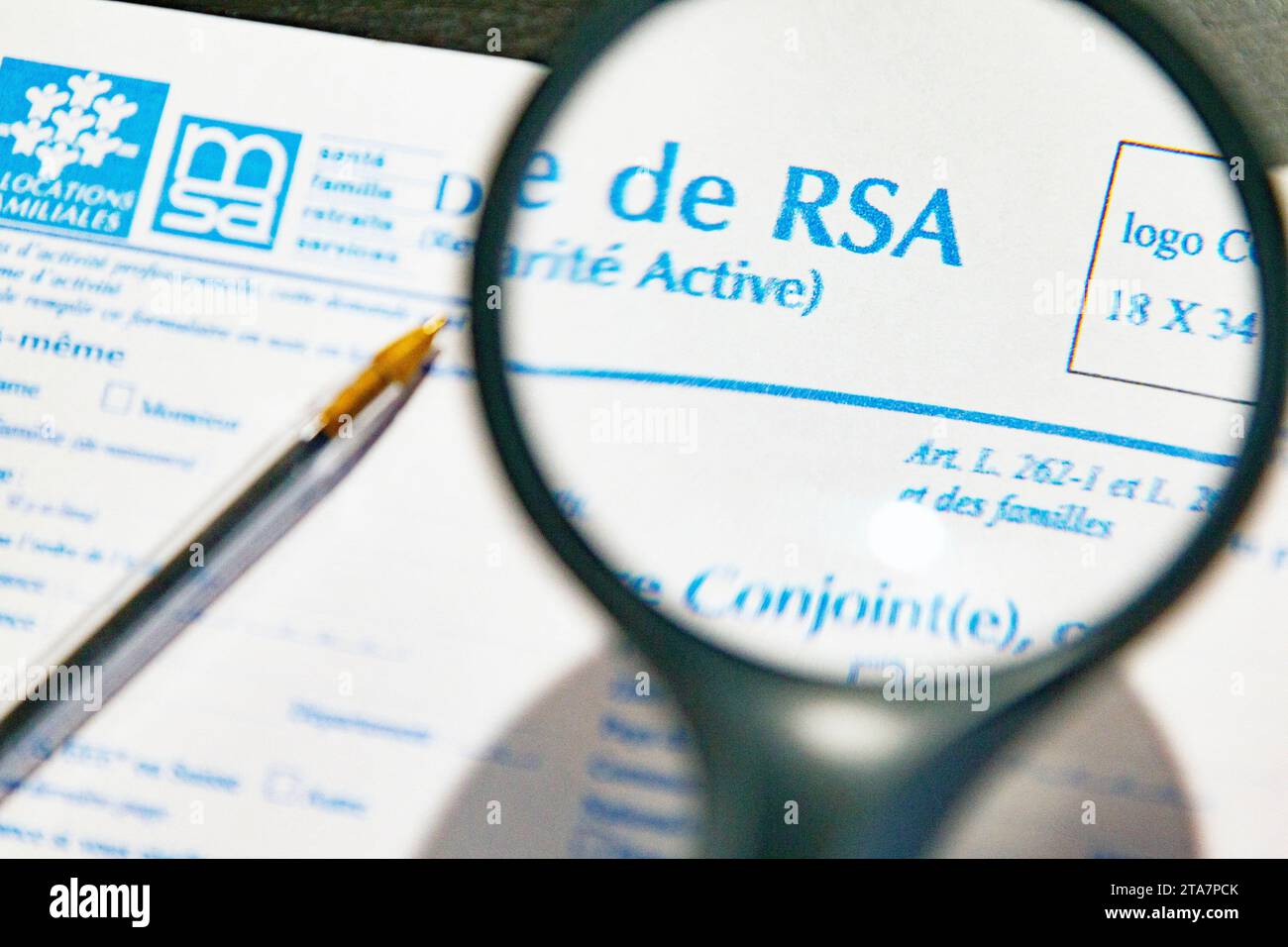 Illustration of the RSA (Active Solidarity Income), an application form ...