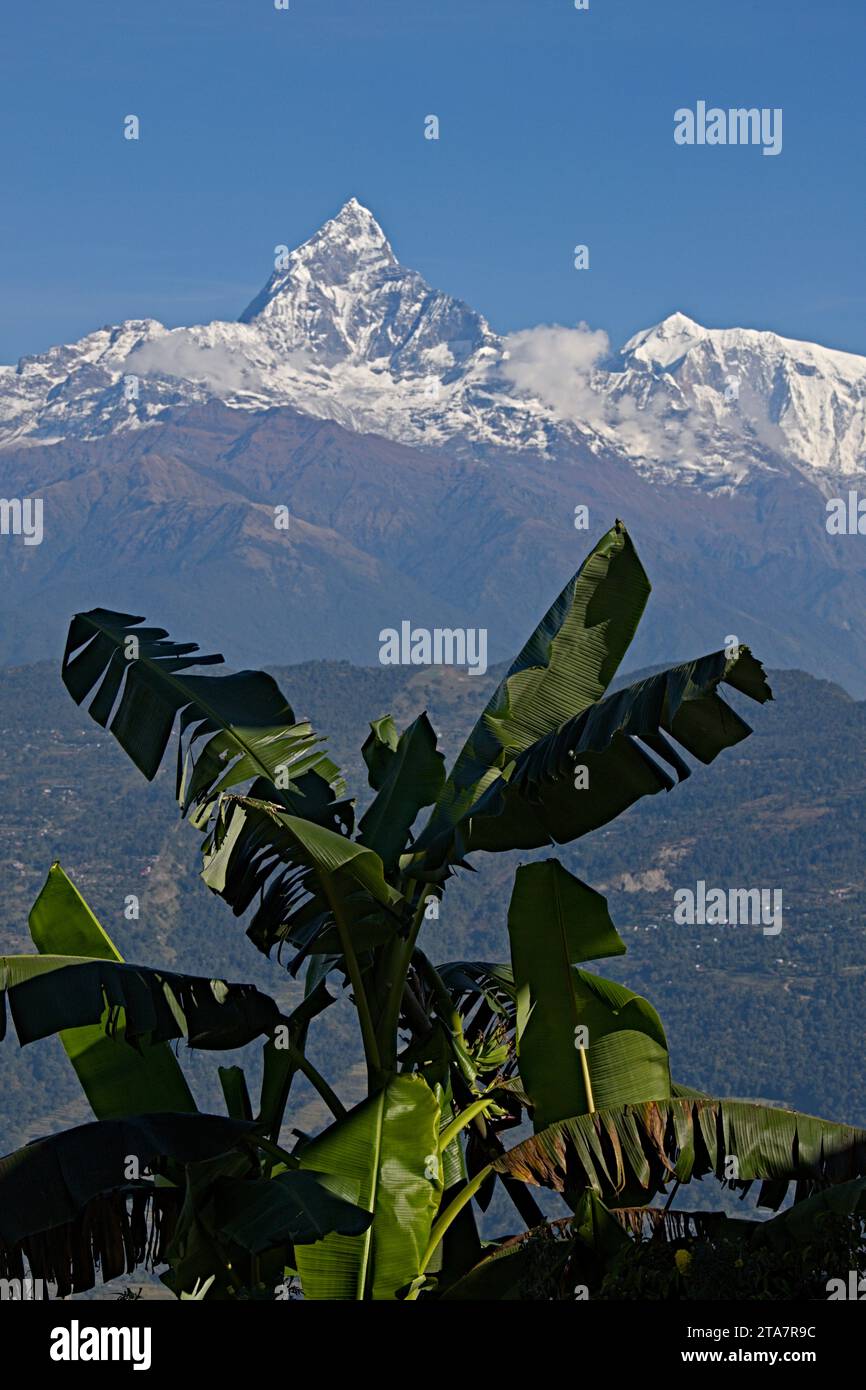 Nepal, Pokhara, Himalayas, Annapurna Range, Machhapuchhare, Fishtail ...