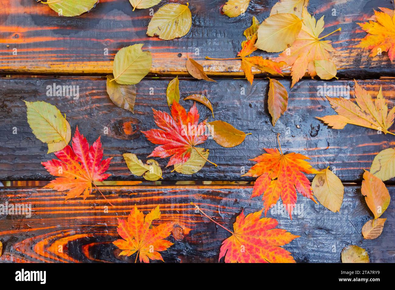 Bench of china hi-res stock photography and images - Alamy