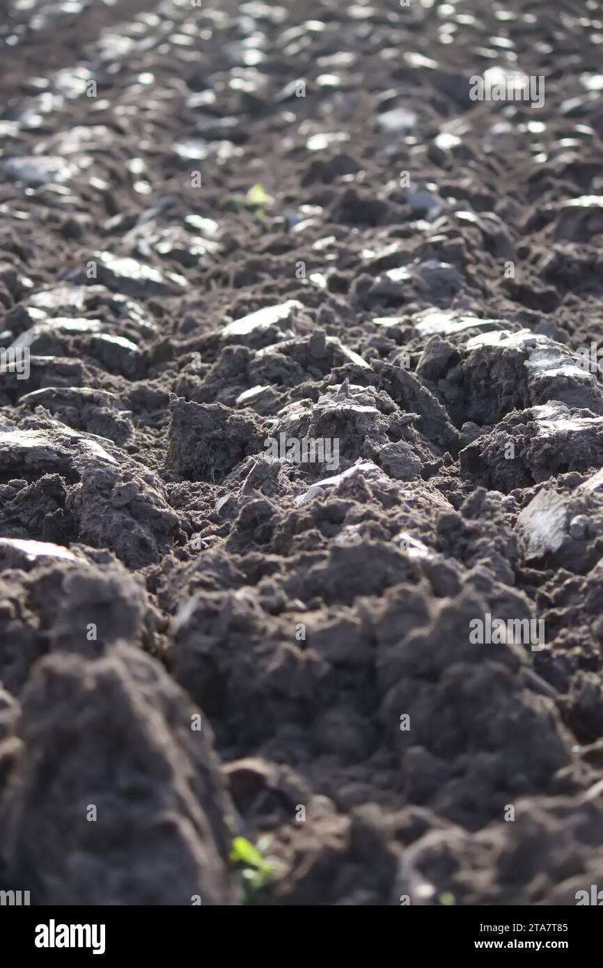 Soil for cultivation. Ploughed field Stock Photo - Alamy