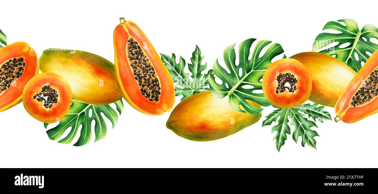 Marker seamless border with sweet ripe slice of papaya with grains ...