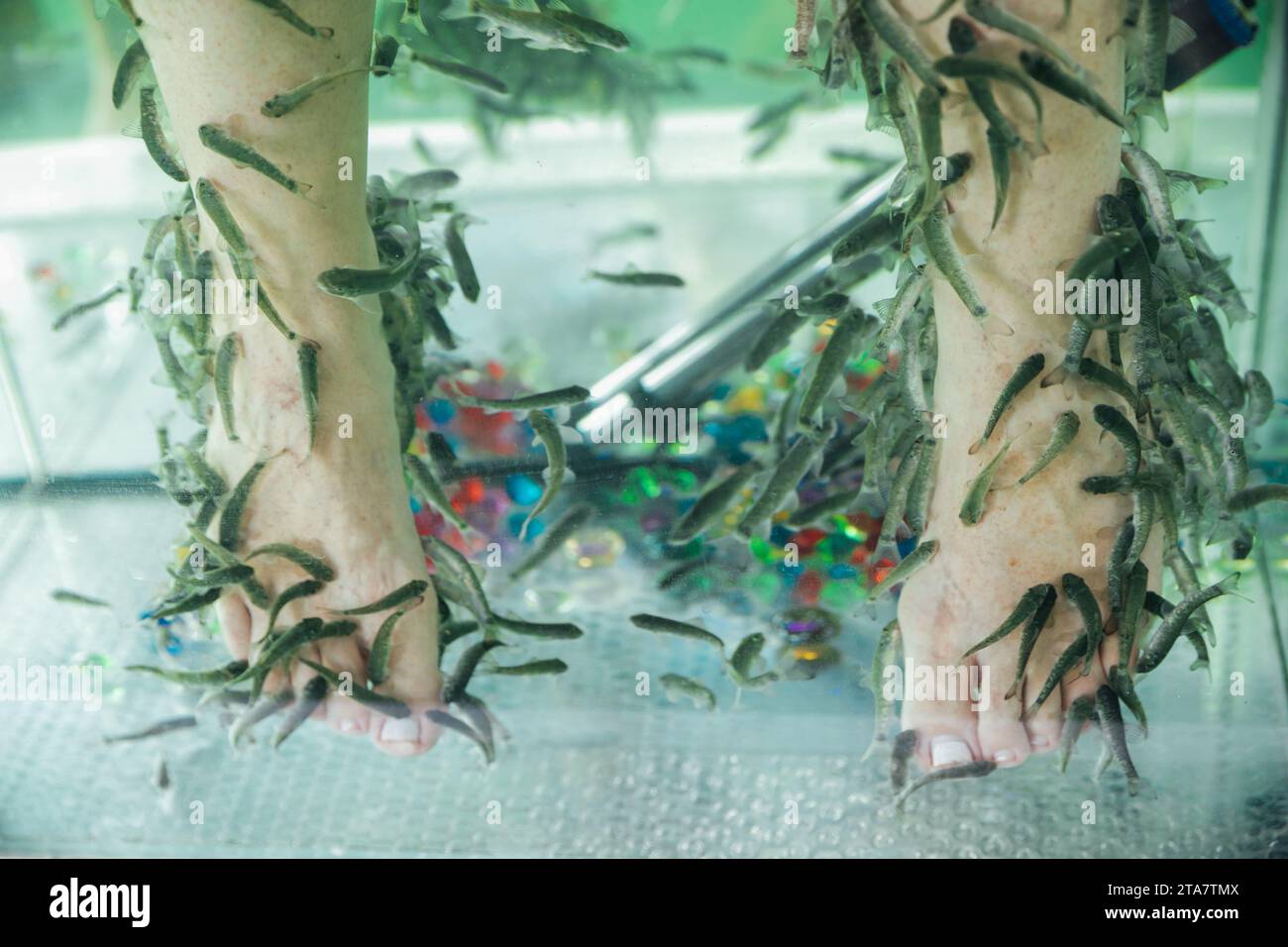 Female legs foot massage water hi-res stock photography and images - Alamy