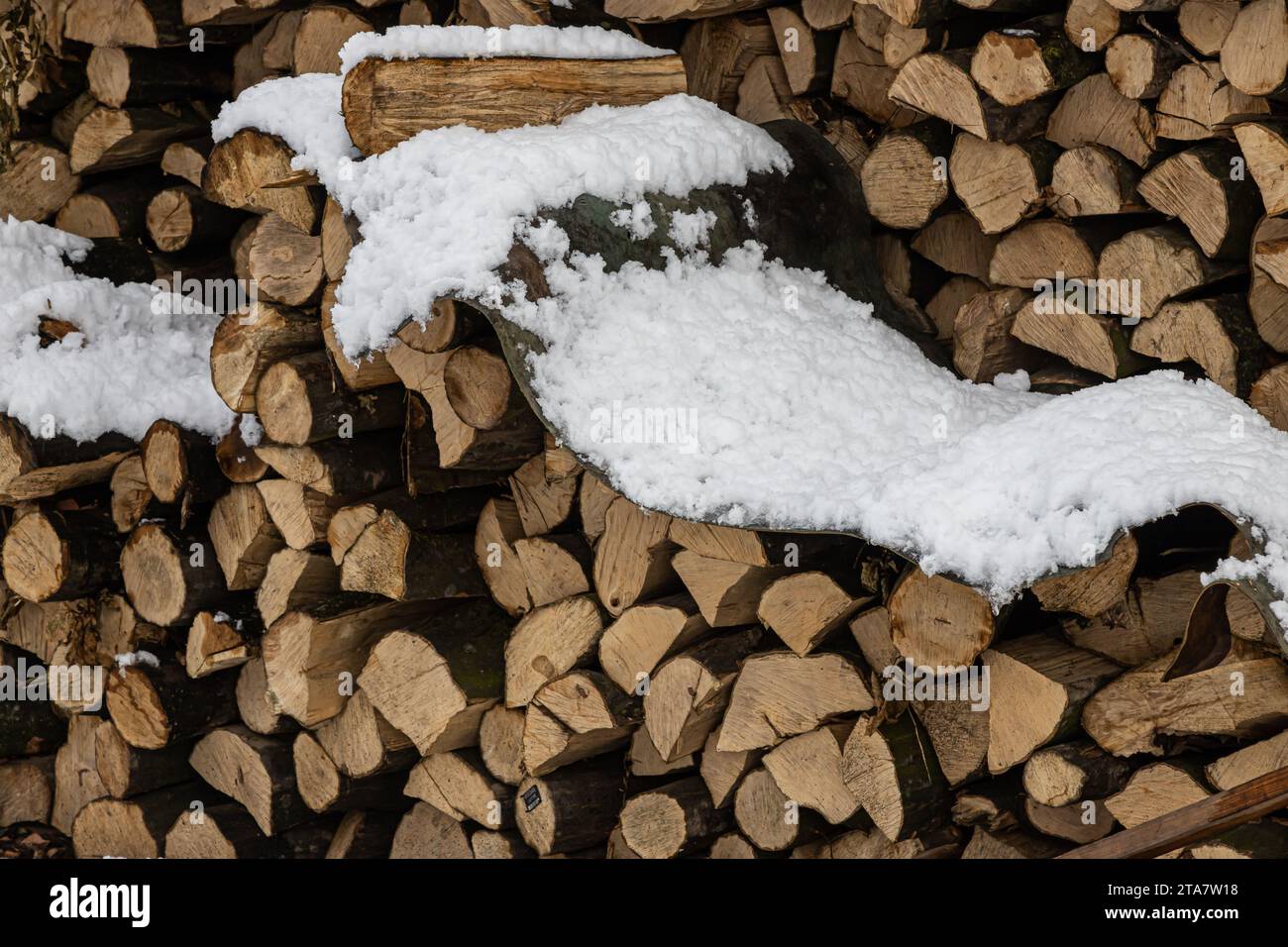 Snow covered firewood. Stack of wood cut. Snow on the timber stack ...