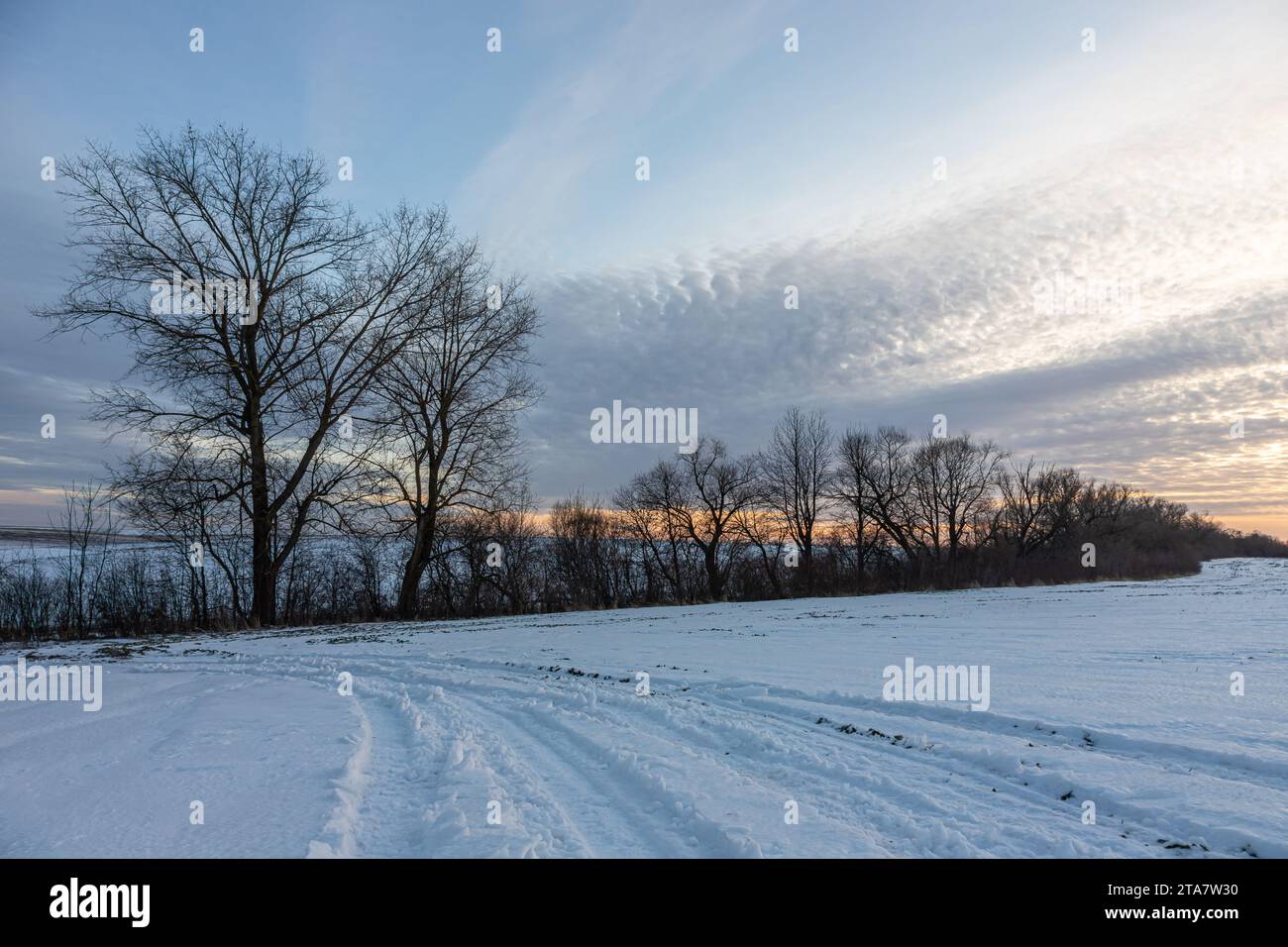Natural sunset sunrise over field or meadow. The color of the sky over ...