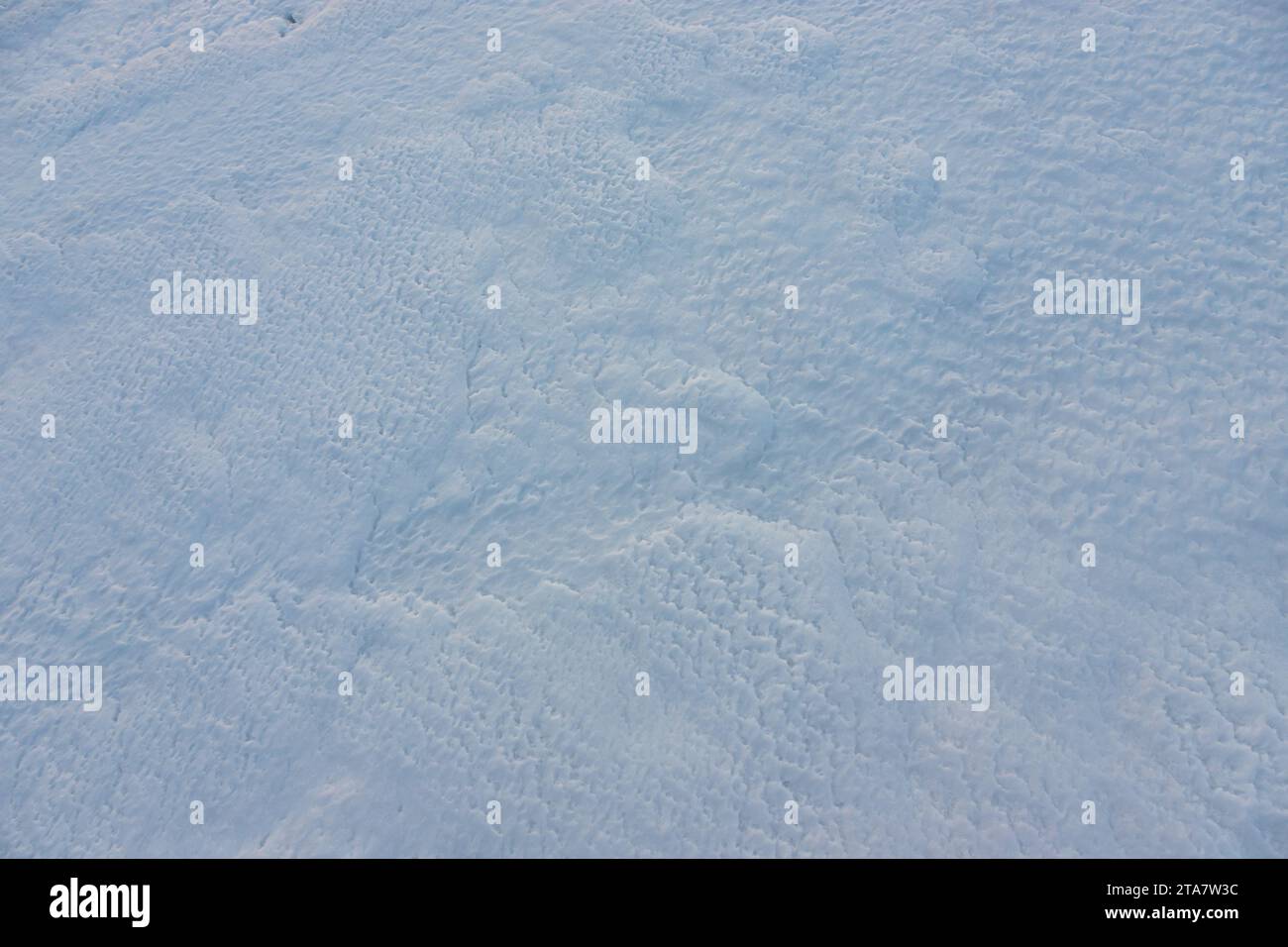 Beautiful winter background with snowy ground. Natural snow texture ...