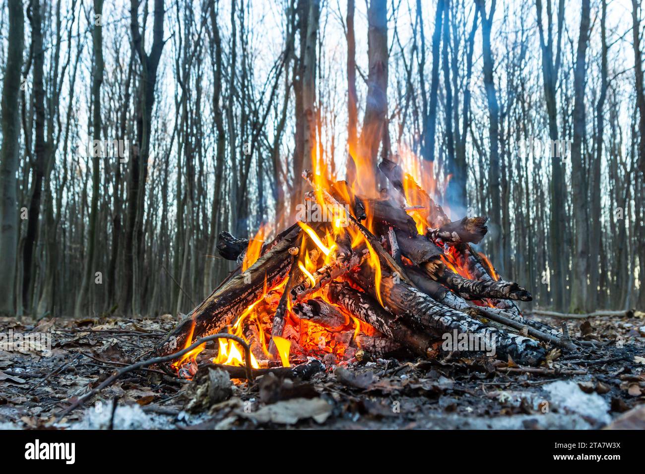 Campfire in the spring forest. Rest on the weekend. Danger of forest ...