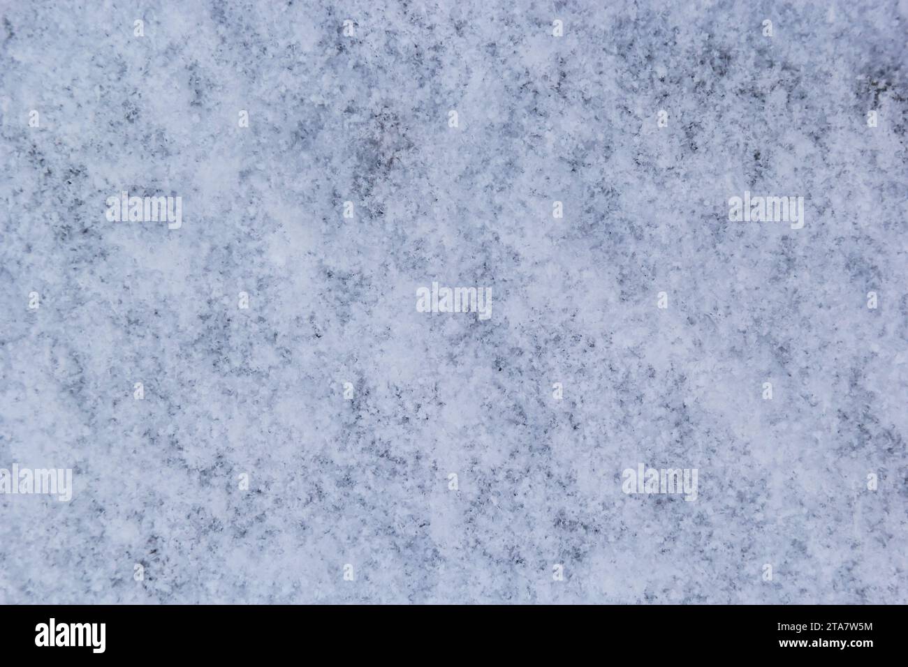 Beautiful winter background with snowy ground. Natural snow texture ...