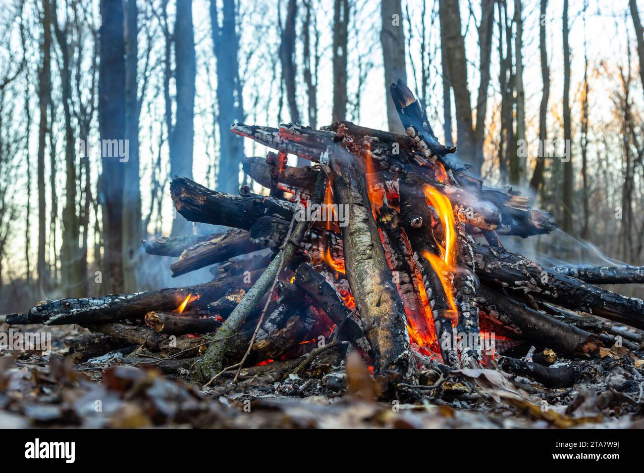 Campfire in the spring forest. Rest on the weekend. Danger of forest ...