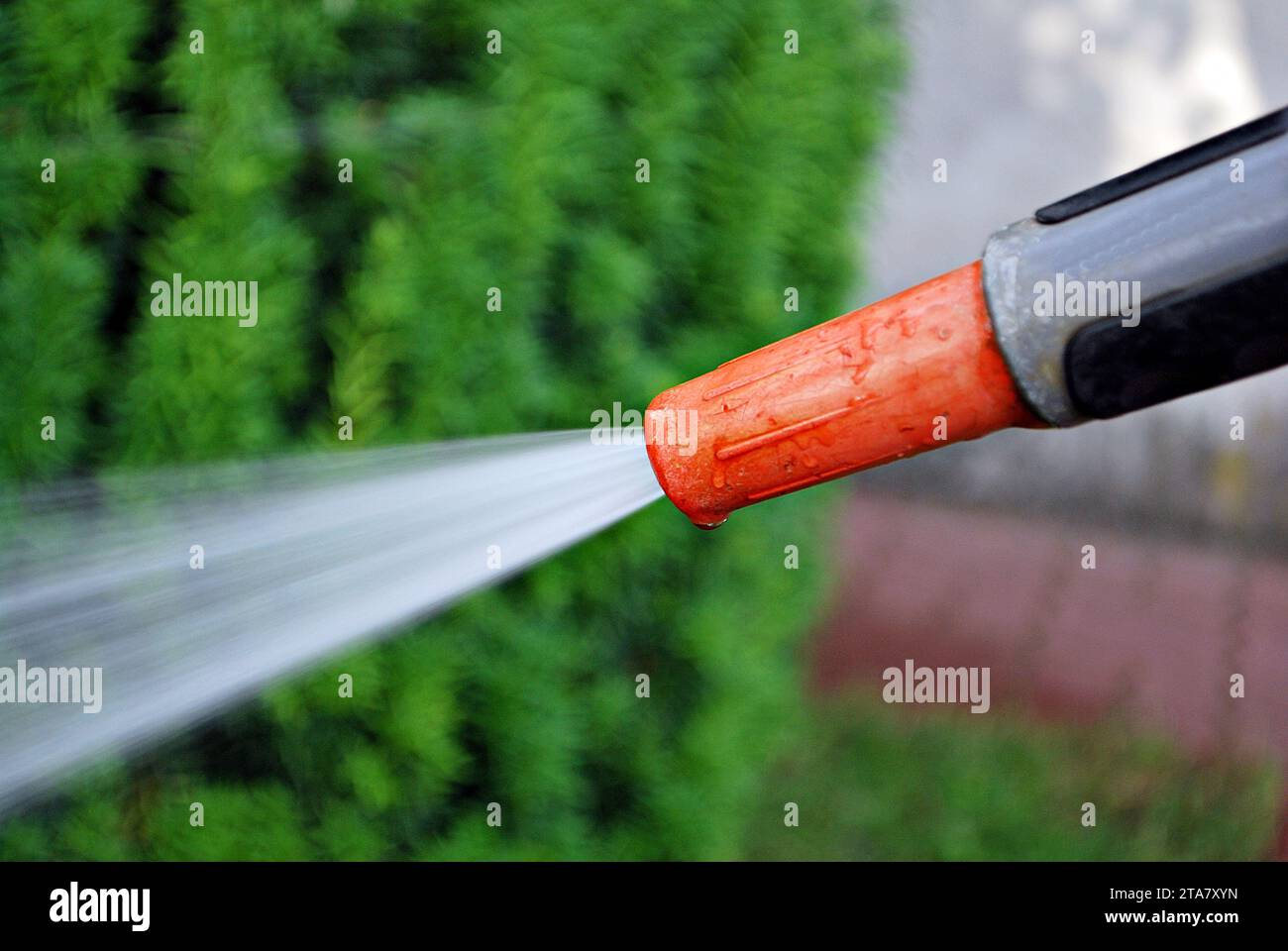 Water spraying from a garden hose Stock Photo - Alamy