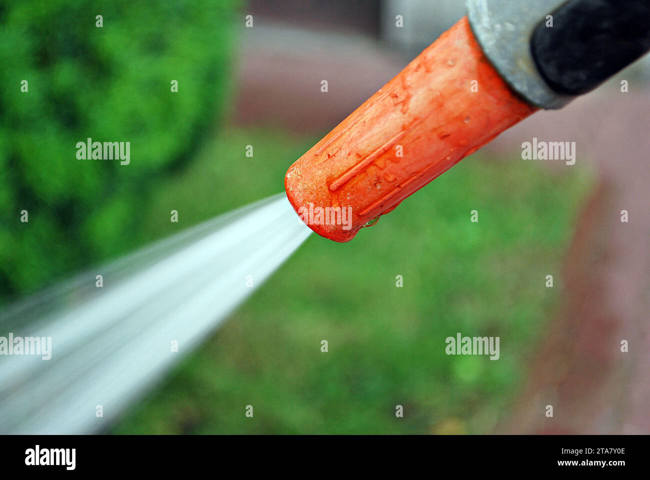 Water spraying from a garden hose Stock Photo - Alamy