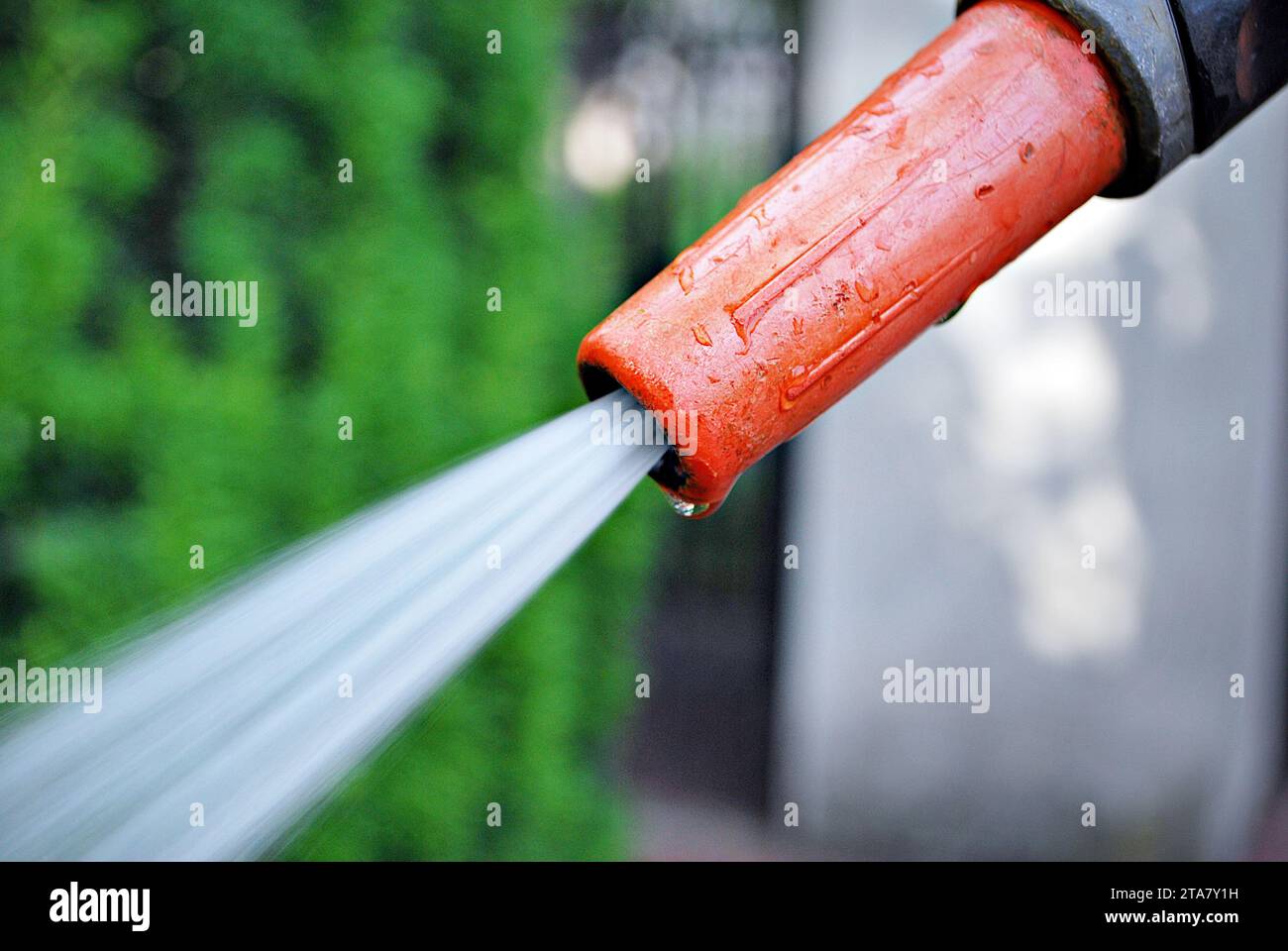 Water spraying from a garden hose Stock Photo - Alamy