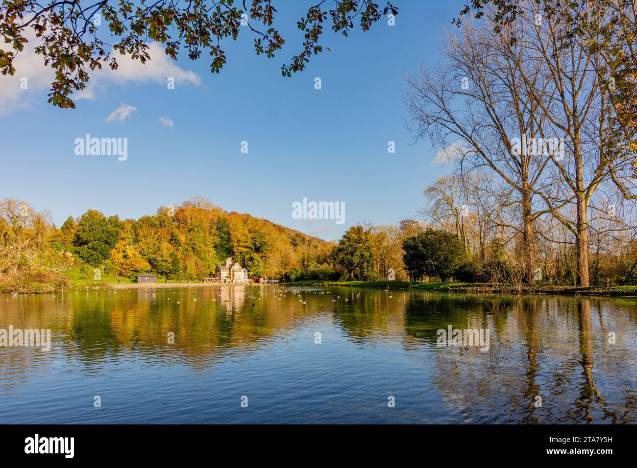 Boating lake tea room hi-res stock photography and images - Alamy