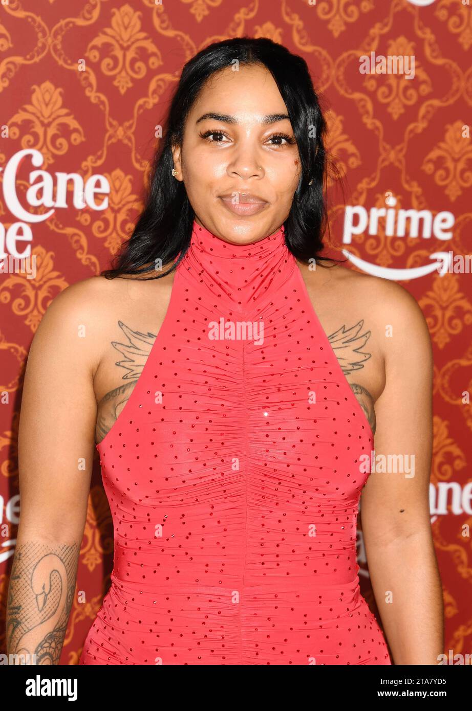 LOS ANGELES, CALIFORNIA - NOVEMBER 28: Dreka Gates attends the world ...