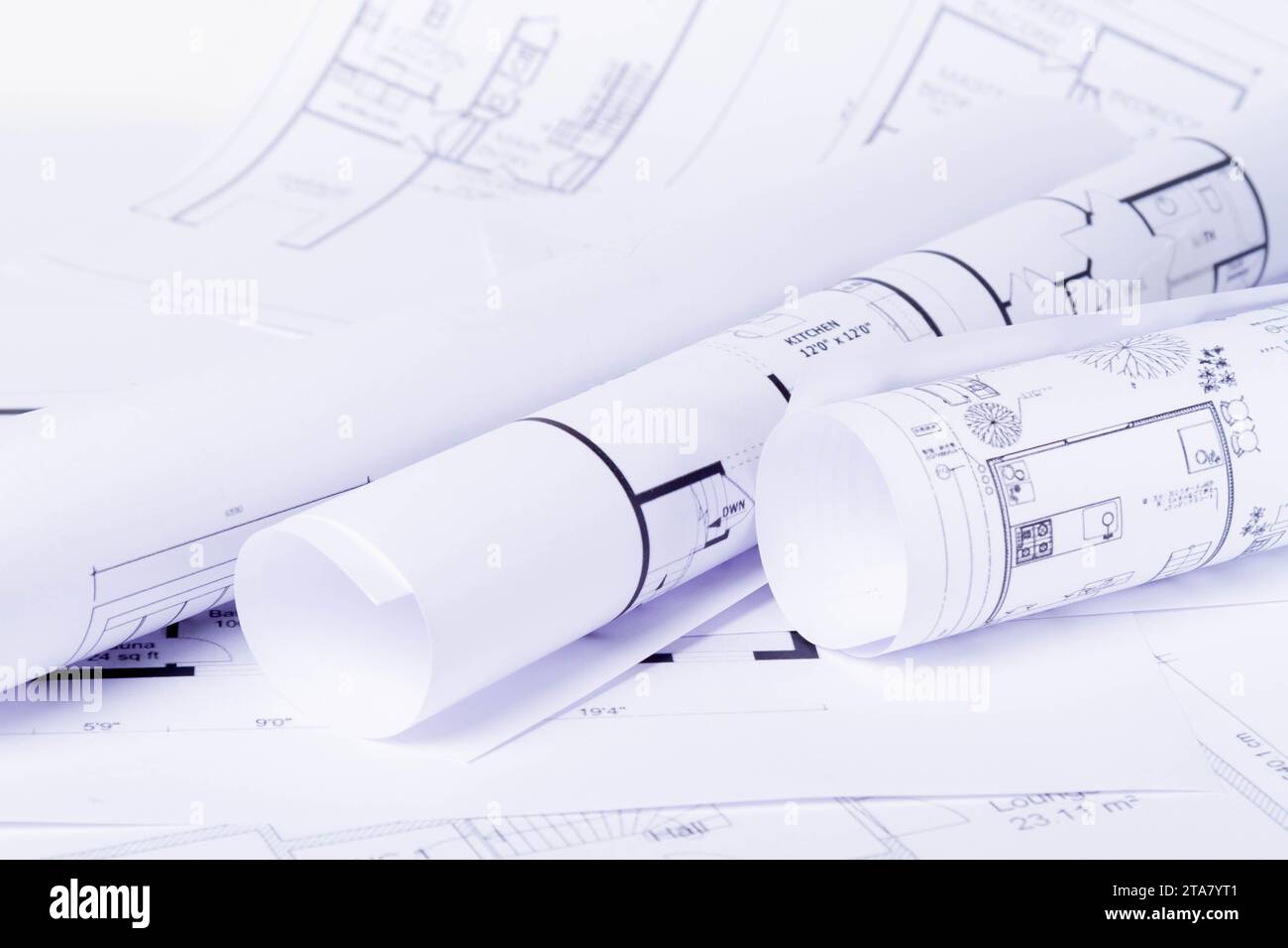 Construction plan. Scheme drawing rolled up in a roll. Home renovation ...