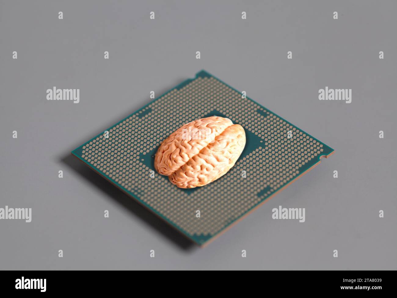 Human brain anatomical model with CPU processor microchip on gray ...