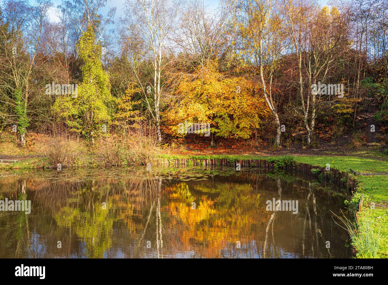 Autumn colours in the Royal Forest of Dean - Lightmoor Pool near Speech ...